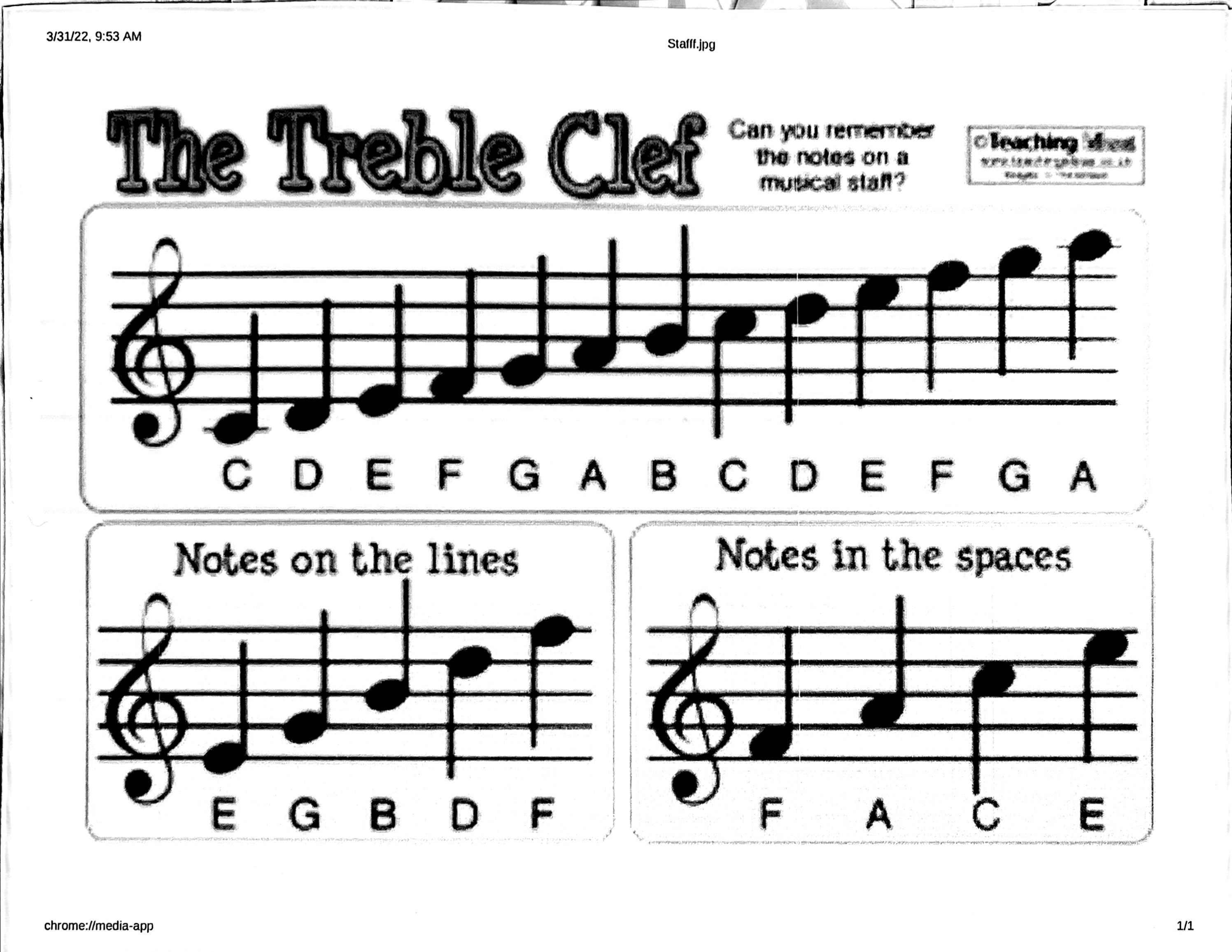Music Staff Notes on Lines & Spaces #day3 #92022 – Perrymuse