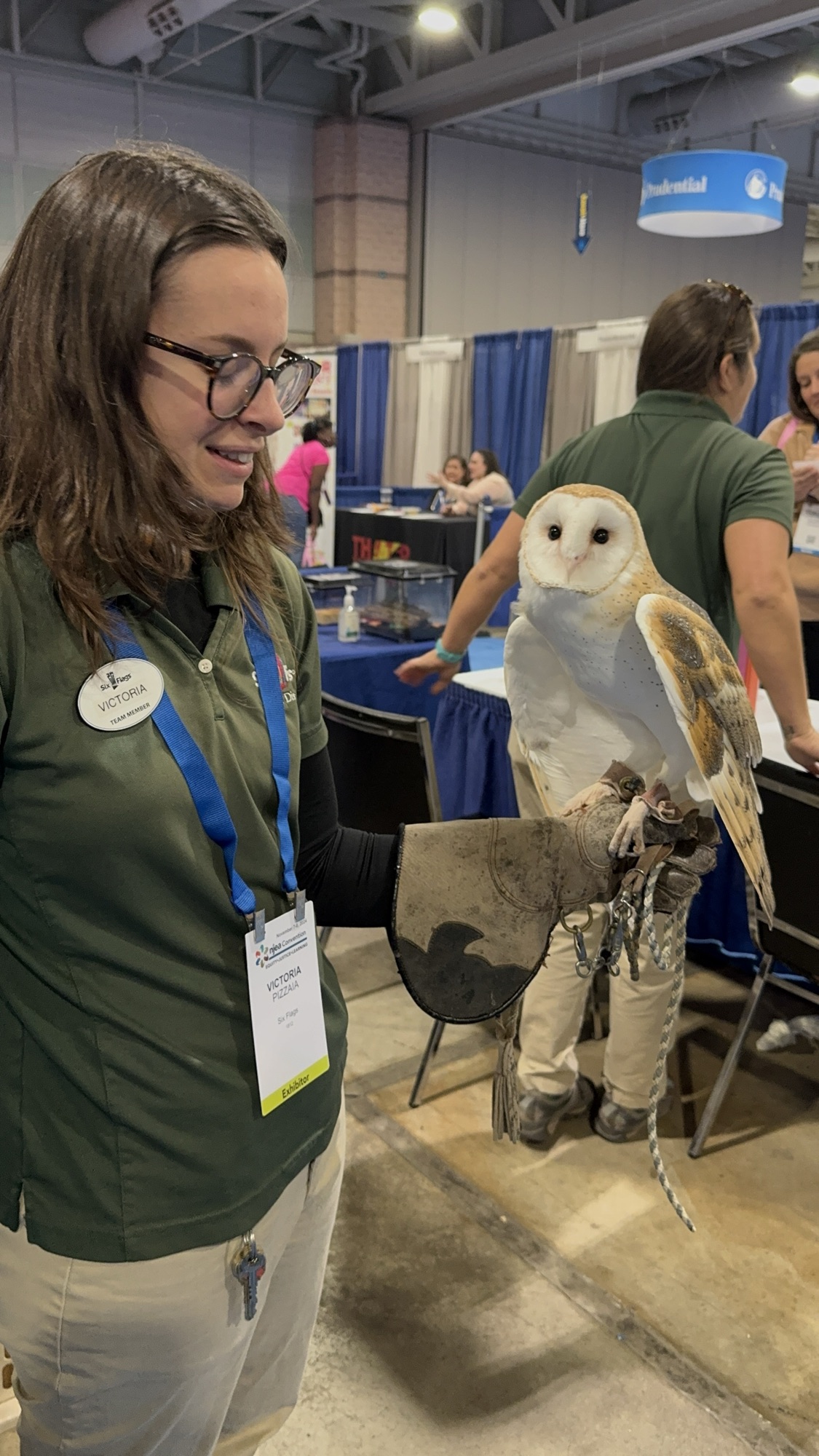 Rex, the Barn Owl – Perrymuse