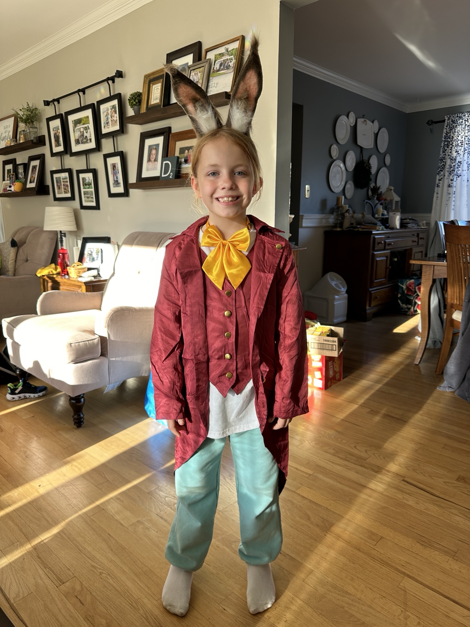 Alice Costumes #11272024 – Juddmusic's Blog