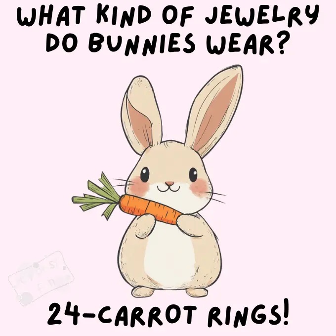 Sunday Funnies #4132025 – Juddmusic's Blog